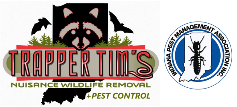 Insect Control | Trapper Tim’s Nuisance Wildlife Removal + Pest Control